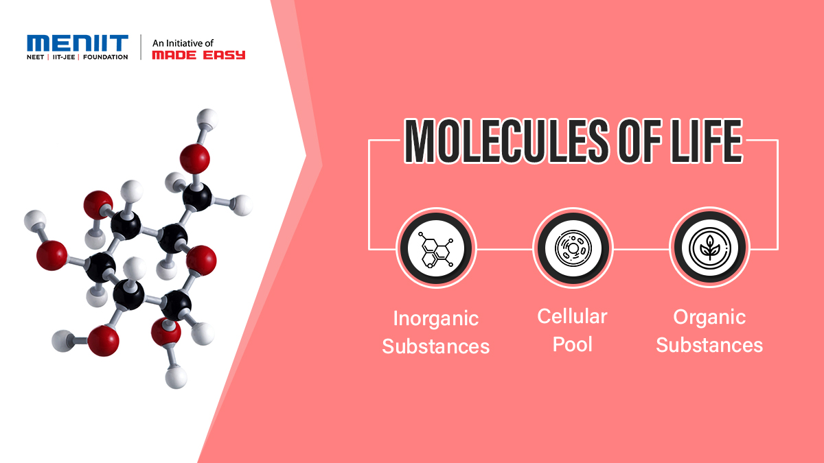 Molecules of Life - Zoology | CLASS XI - MENIIT