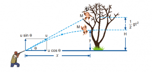 Motion in a Plane - Physics | CLASS XI - MENIIT